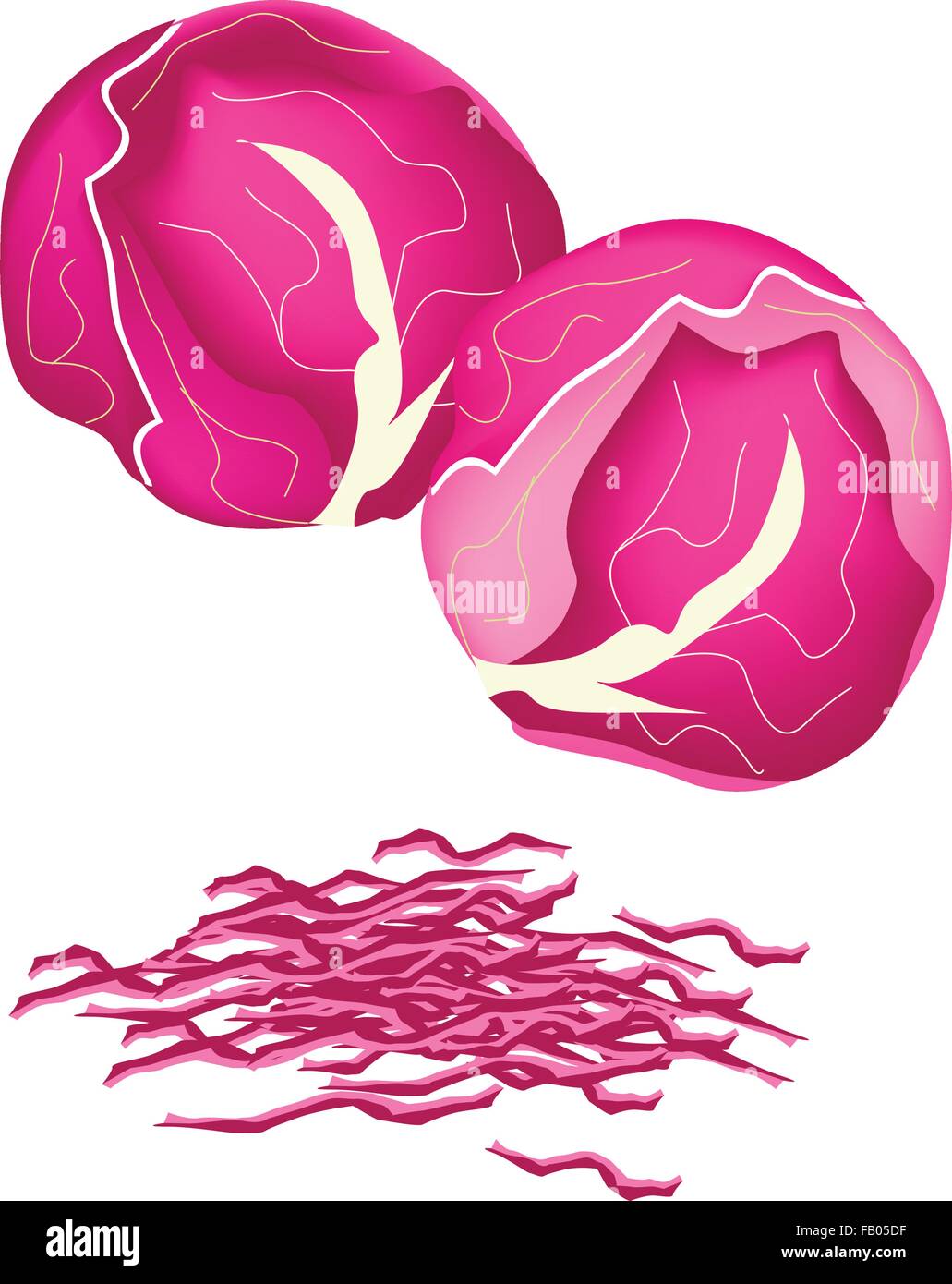 Cabbage julienne Stock Vector Images - Alamy