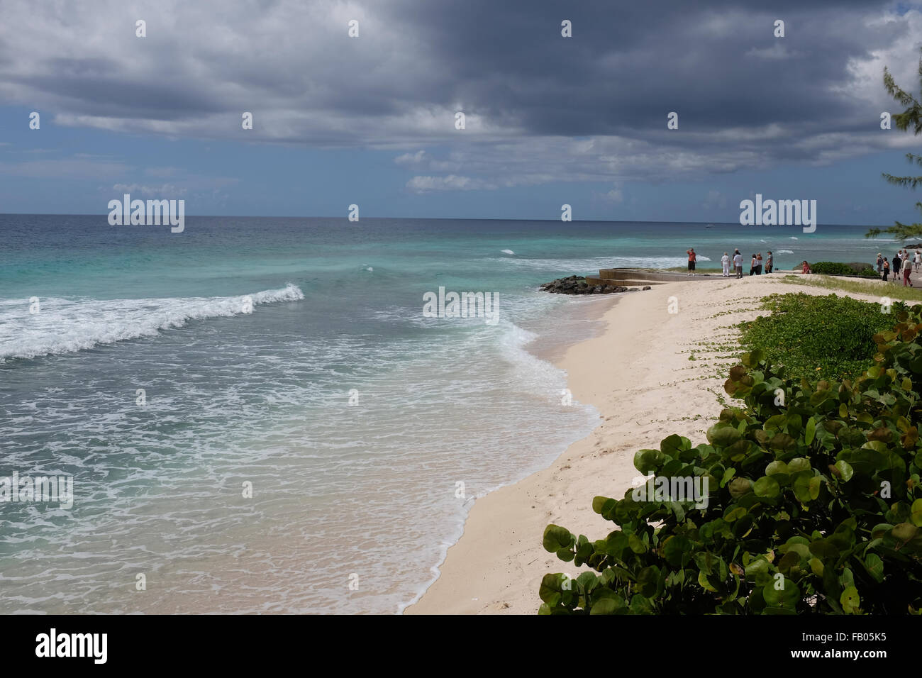 Beach scene in Barbados Caribbean island in the West Indies Stock Photo ...