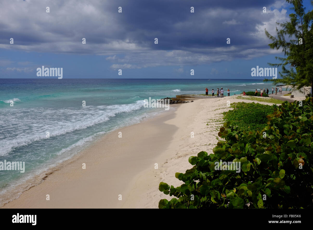 Beach scene Barbados in the Caribbean Stock Photo - Alamy