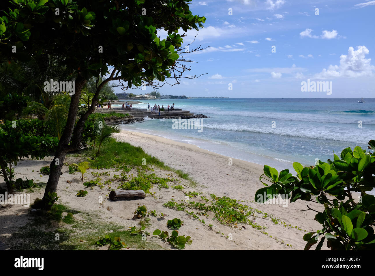 Beach scene Barbados in the Caribbean Stock Photo - Alamy