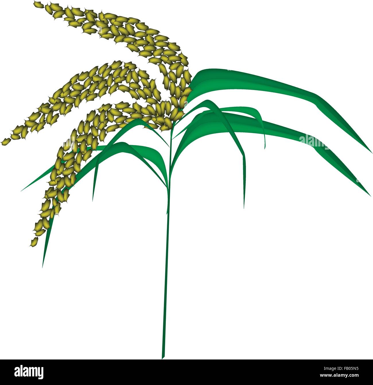 Environmental Concept, Vector Illustration of Green Unripe Millet Heads ...