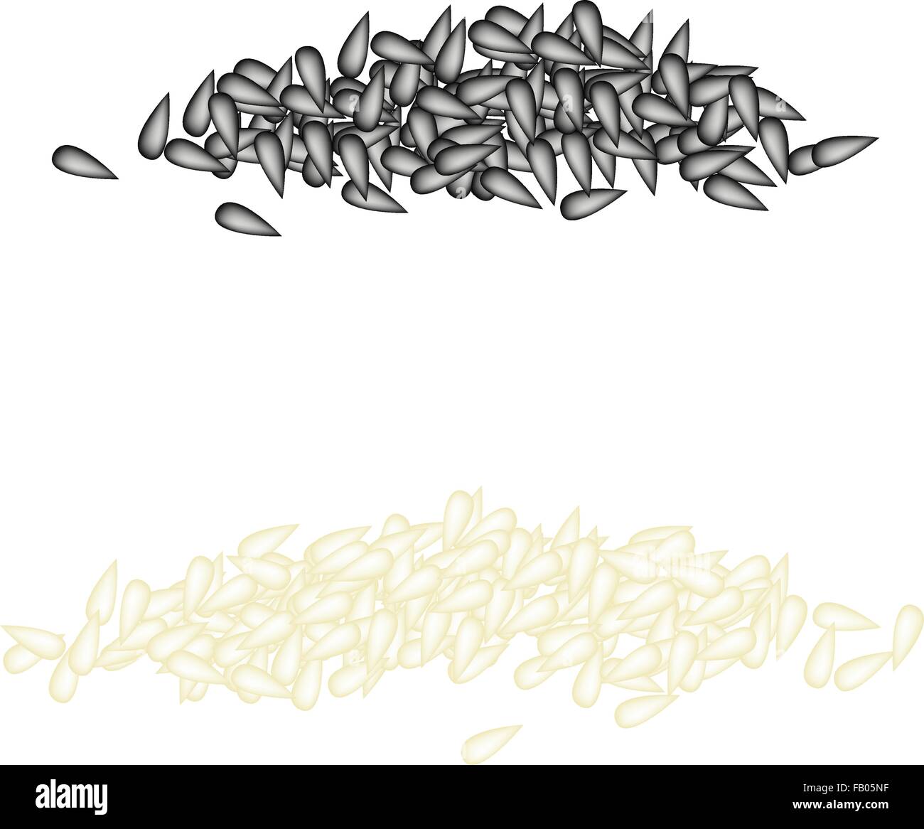Vegetable and Herb, Vector Illustration Heaps of Black and White Sesame ...
