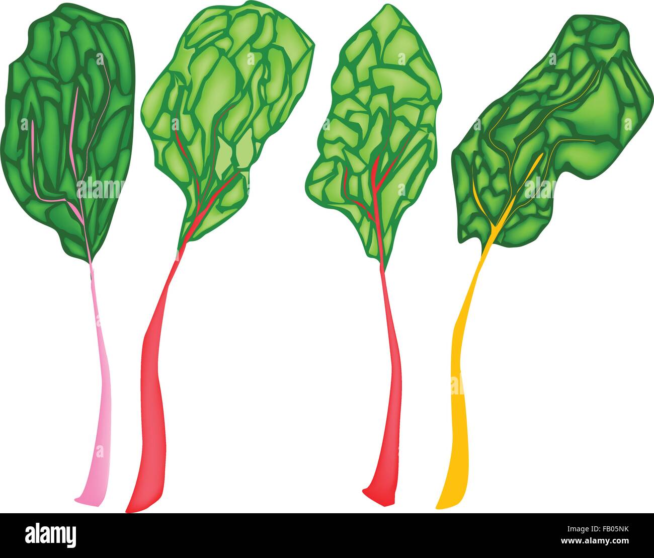 Raw organic green swiss Stock Vector Images - Alamy