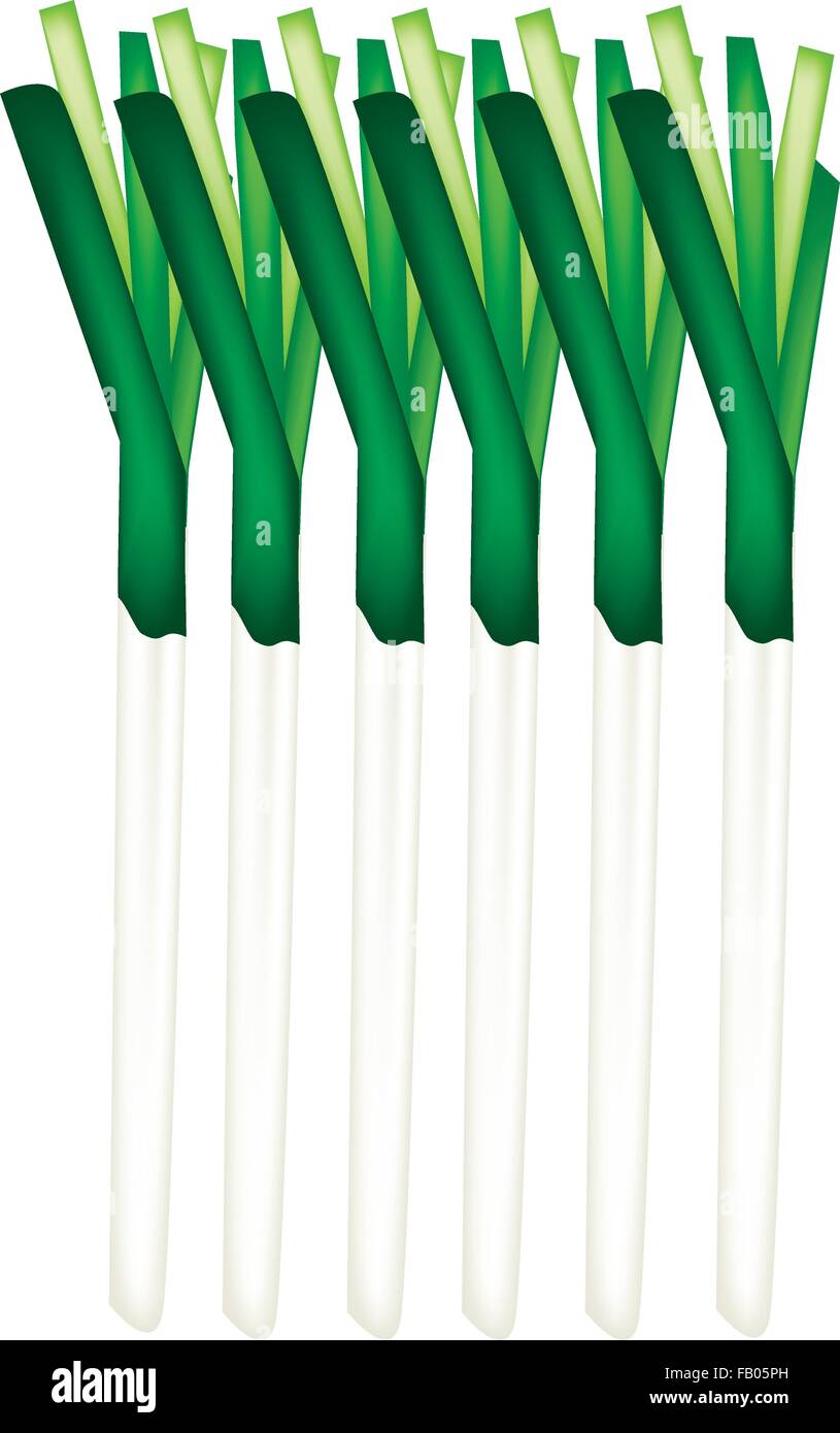 Welsh row Stock Vector Images - Alamy