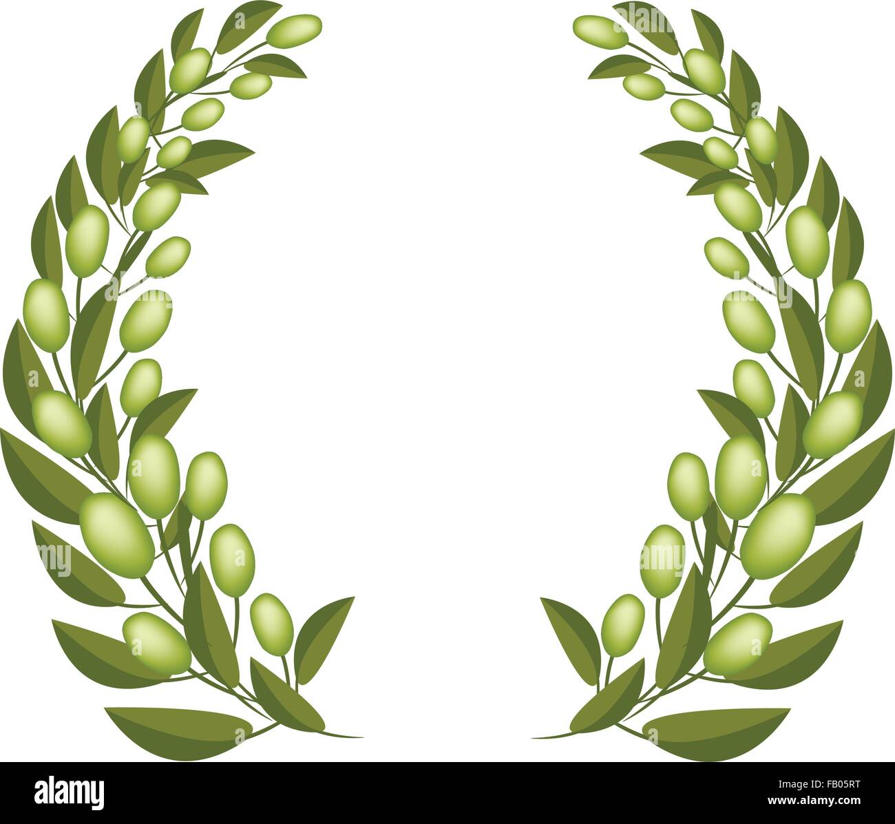 Vector Illustration of Beautiful Laurel Wreath of Fresh Green Olive and ...