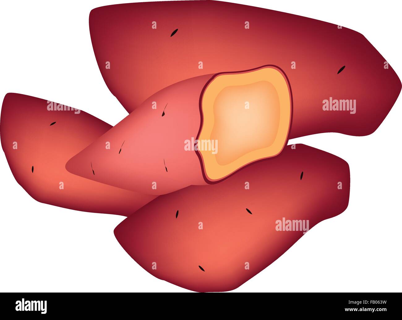 Red potato cross section Stock Vector Images - Alamy