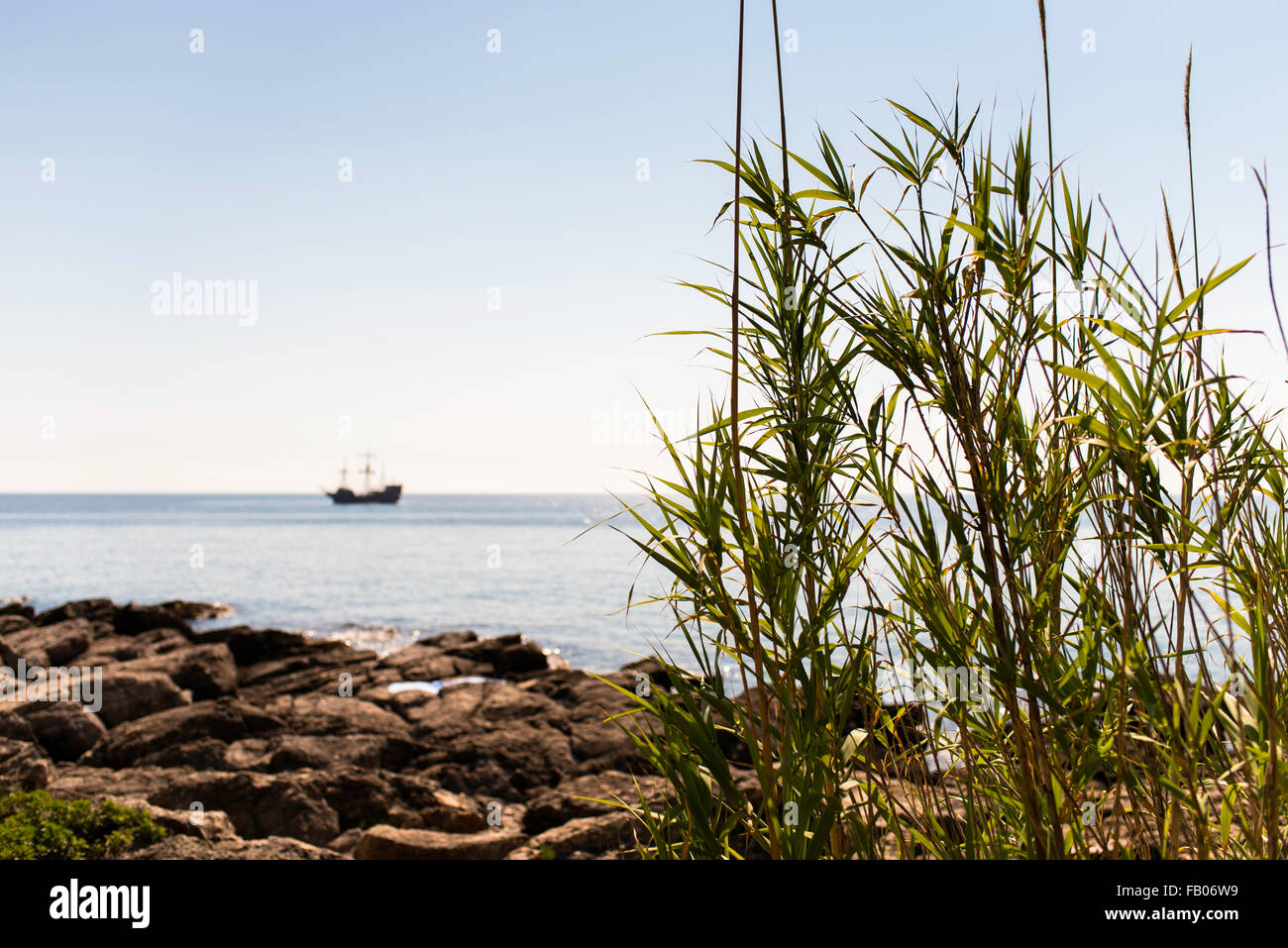Hide boat hi-res stock photography and images - Alamy