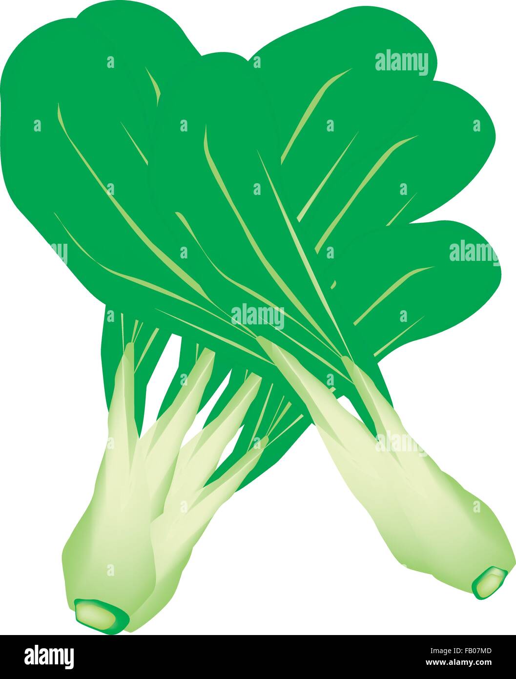 Vegetable, An Illustration Stack of Delicious Fresh Baby Pakchoi, Bok ...