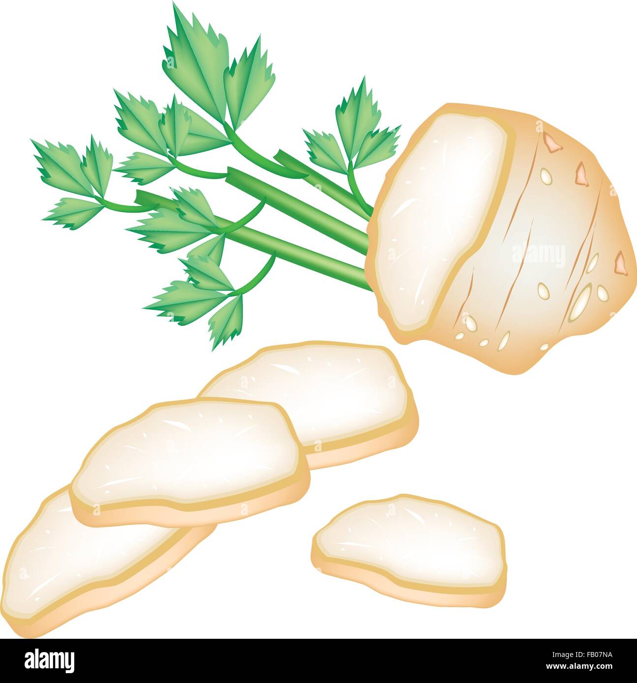Sliced celery leaves Stock Vector Images - Alamy