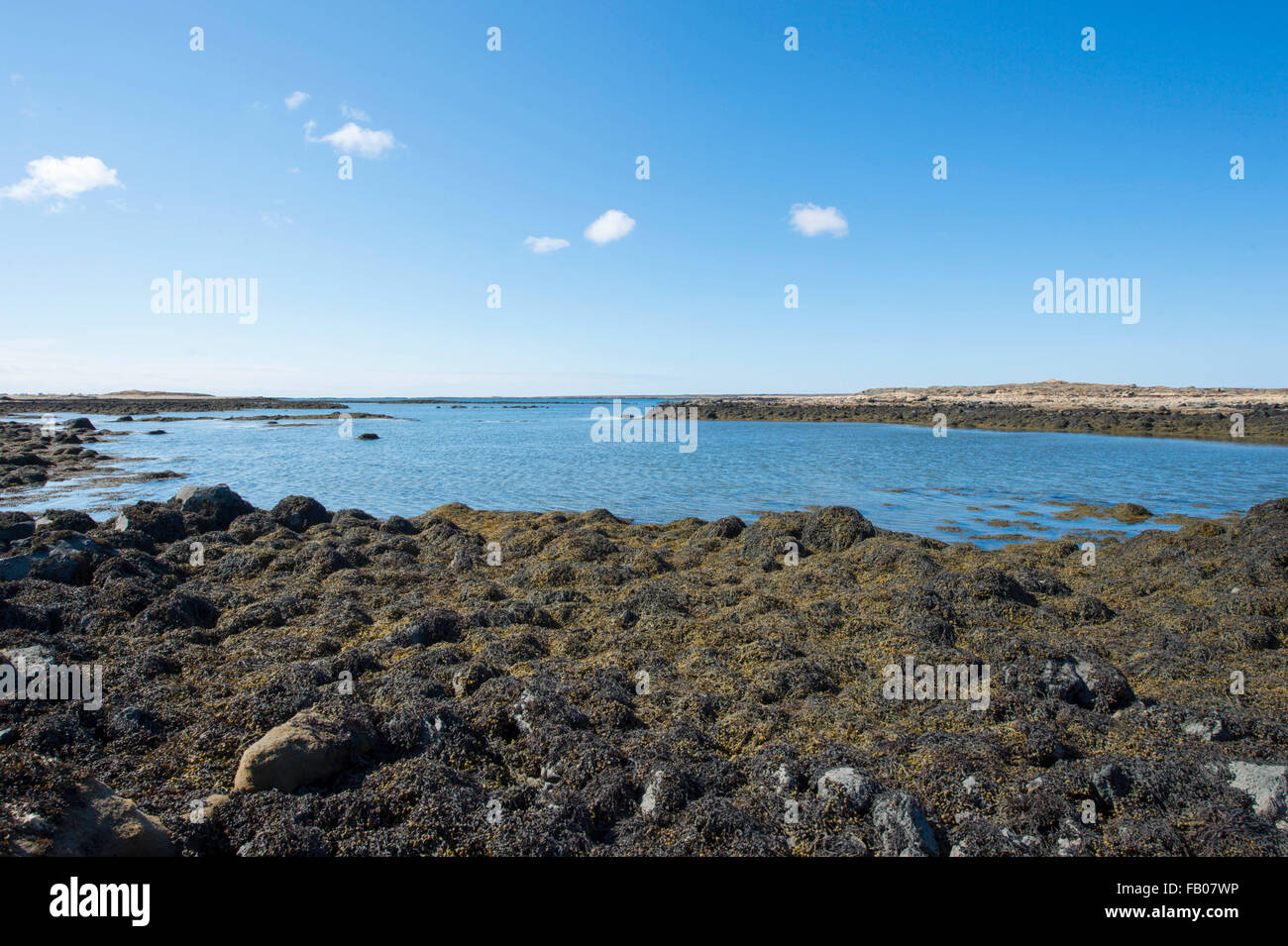 Iceland shore line hi-res stock photography and images - Alamy