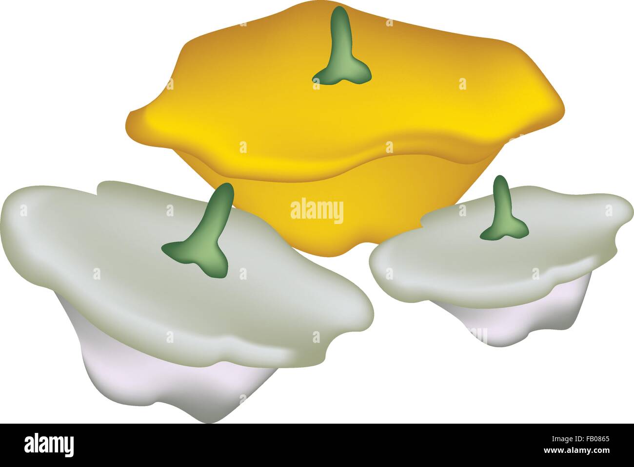 Vegetable, Illustration of Yellow and White Pattypan Squash or Sunburst ...