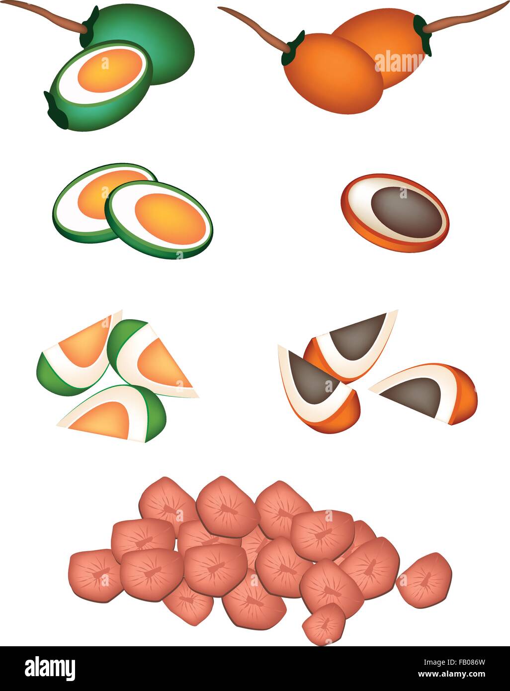 Yellow areca nut Stock Vector Images - Alamy