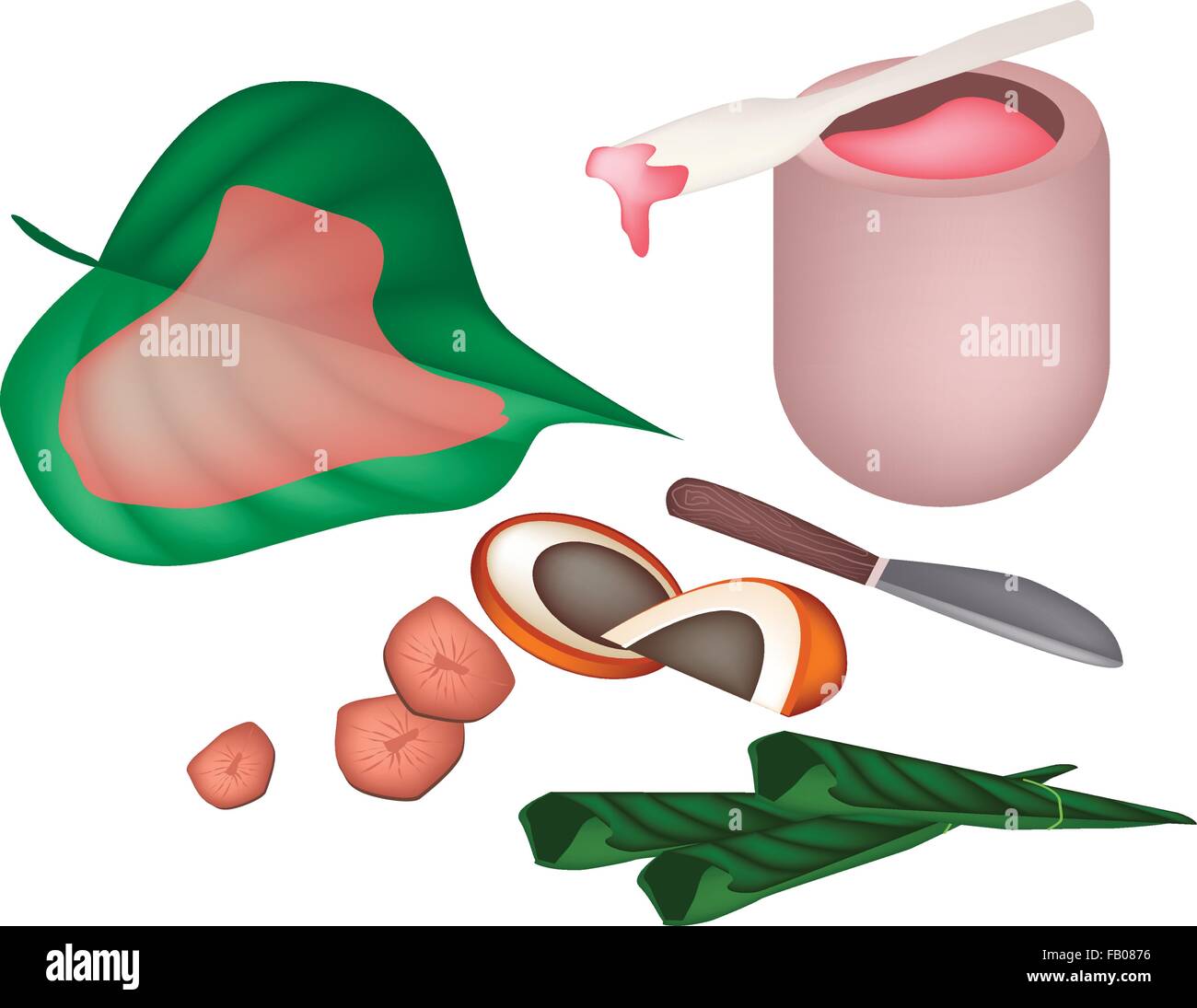 Fruit betelnut Stock Vector Images - Alamy