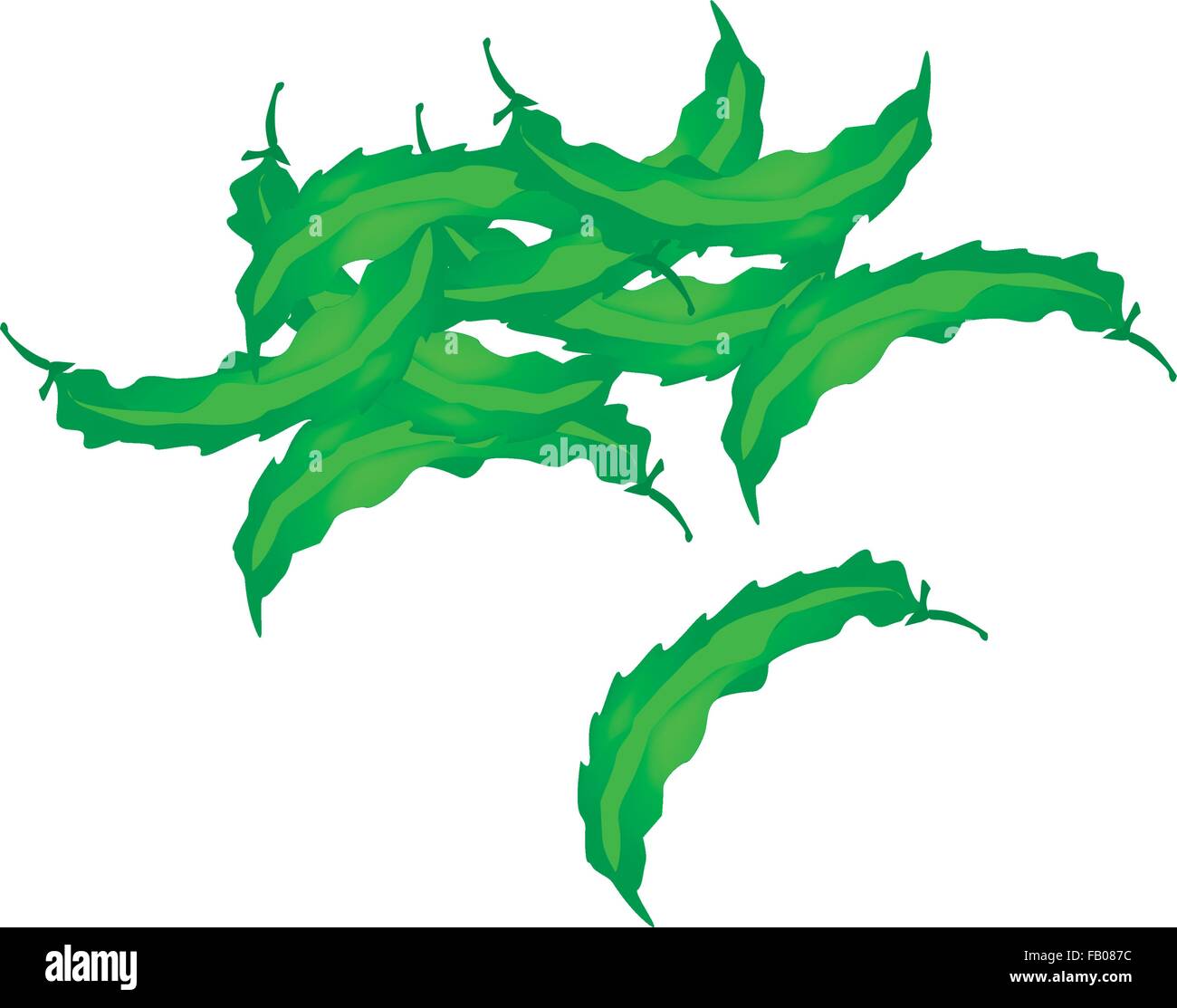 Winged bean Stock Vector Images - Alamy