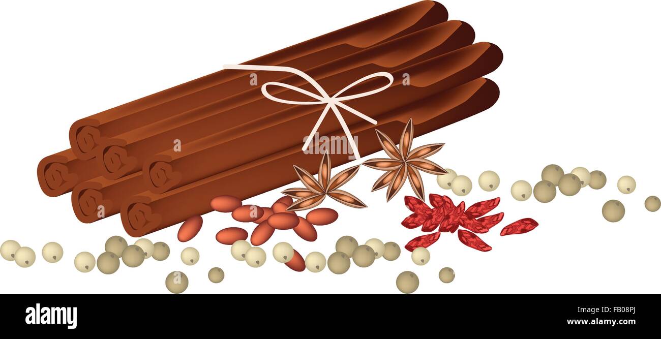 Aniseed pepper or chinese pepper Stock Vector Images - Alamy