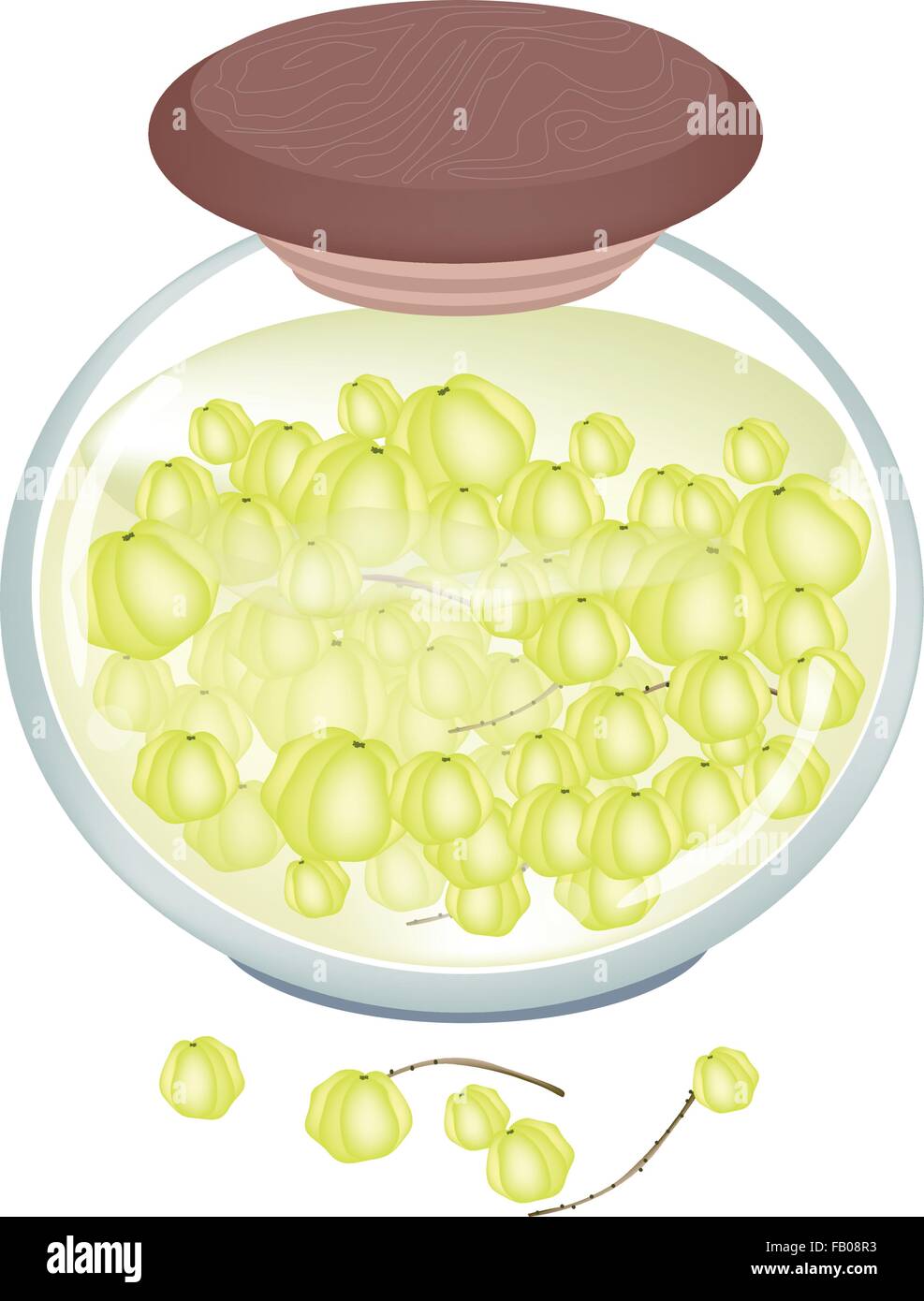Fruit, Vector Illustration of Pickled Star Gooseberries or Preserved ...