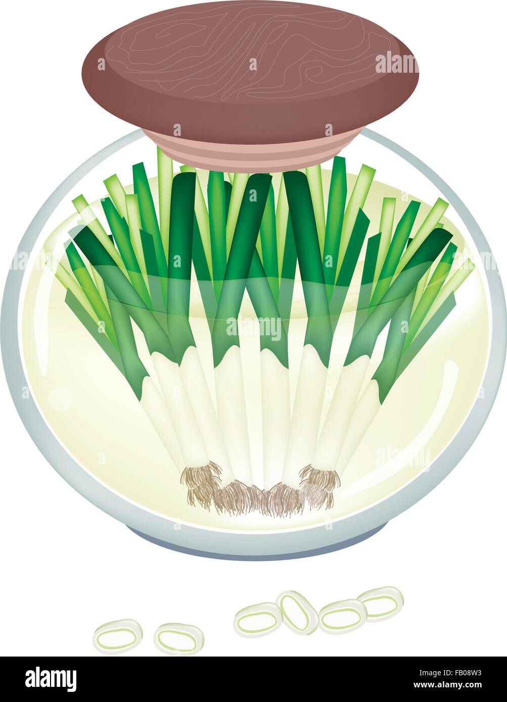 Ramps vegetable hi-res stock photography and images - Alamy