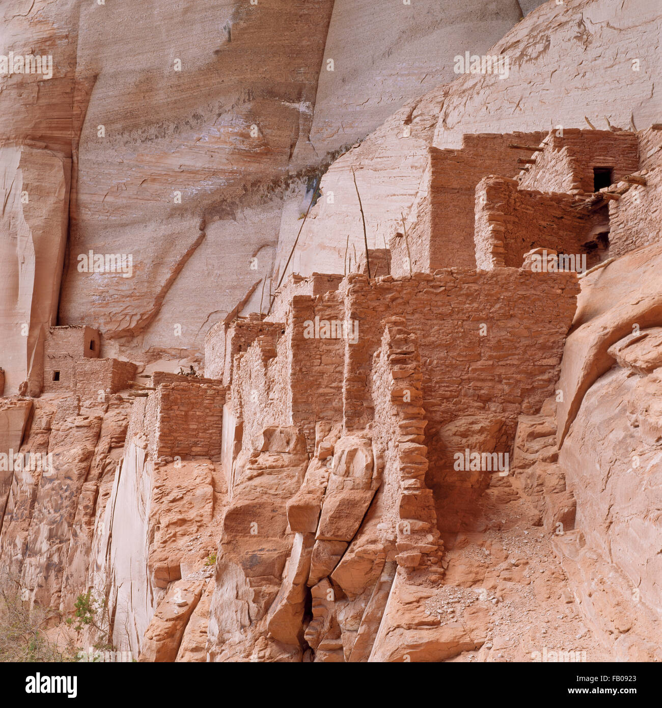 betatakin cliff dwelling ruins in navajo national monument near kayenta ...