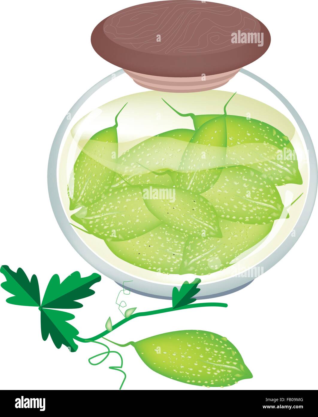An Illustration of Pickled Balsam Pear, Balsam Apple, Bitter Gourd and ...