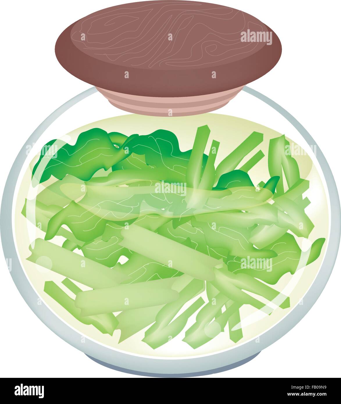 Vegetable, Illustration of Pickled Bok Choy, Pok Choi or Pak Choi in ...