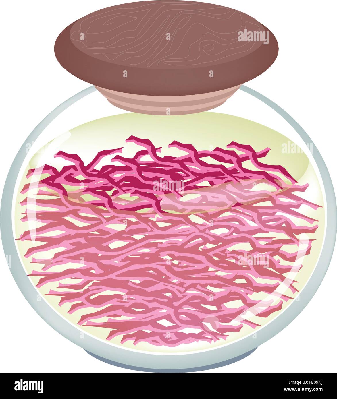 Vegetable, An Illustration of Pickled Julienne Red Cabbage or Purple ...