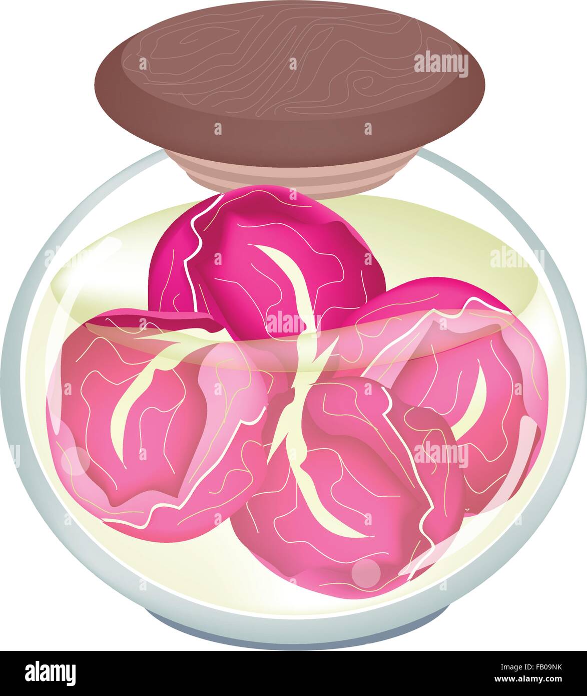Pickled red cabbage pickle Stock Vector Images - Alamy