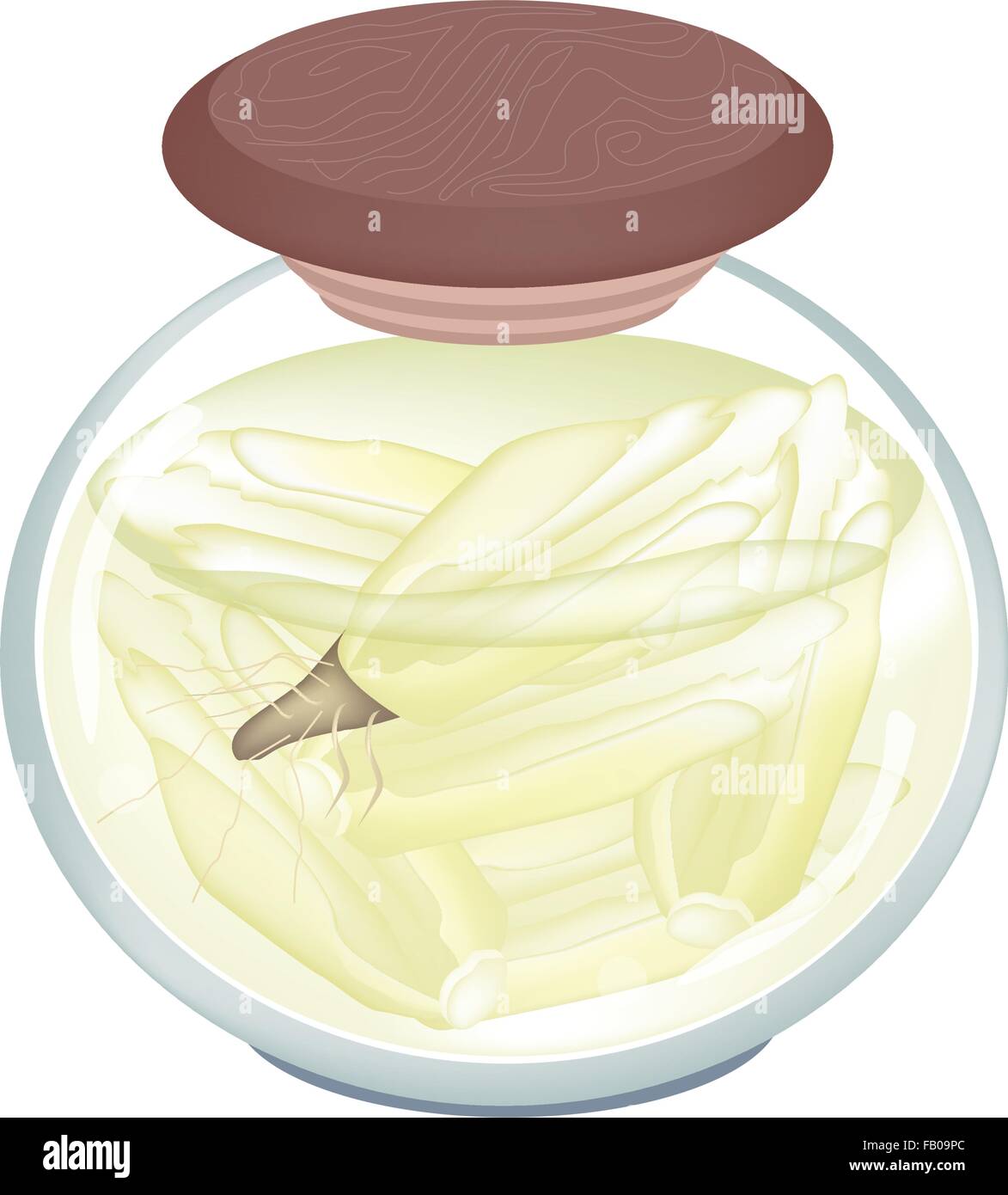 Vegetable, An Illustration of Pickled Endivia in Brine of Vinegar and ...