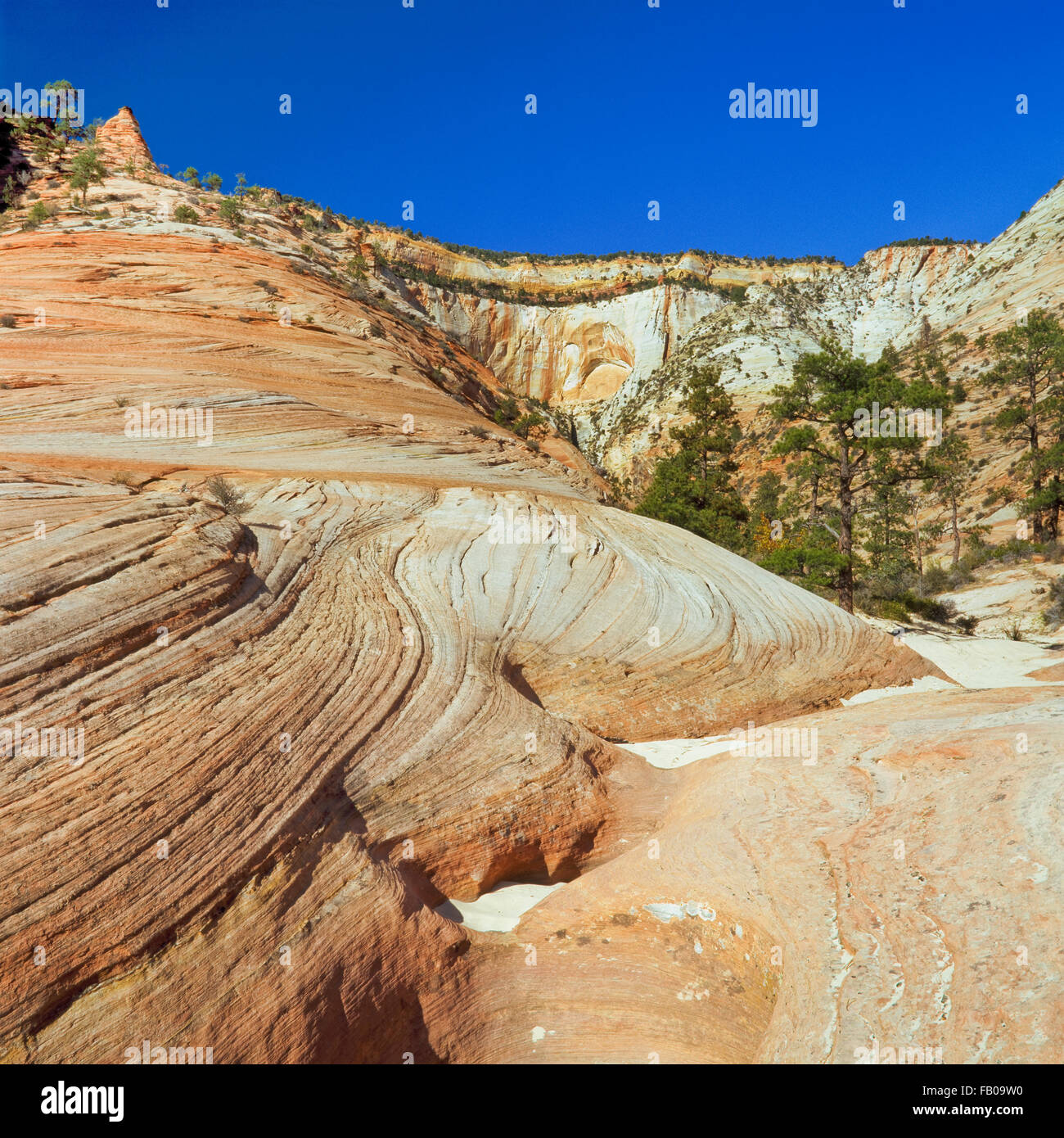 sandstone slickrock in clear creek basin of zion national park, utah ...