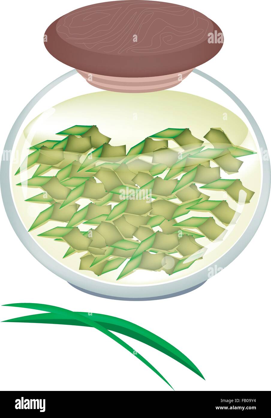 Pandanus tectorius illustration hi-res stock photography and images - Alamy
