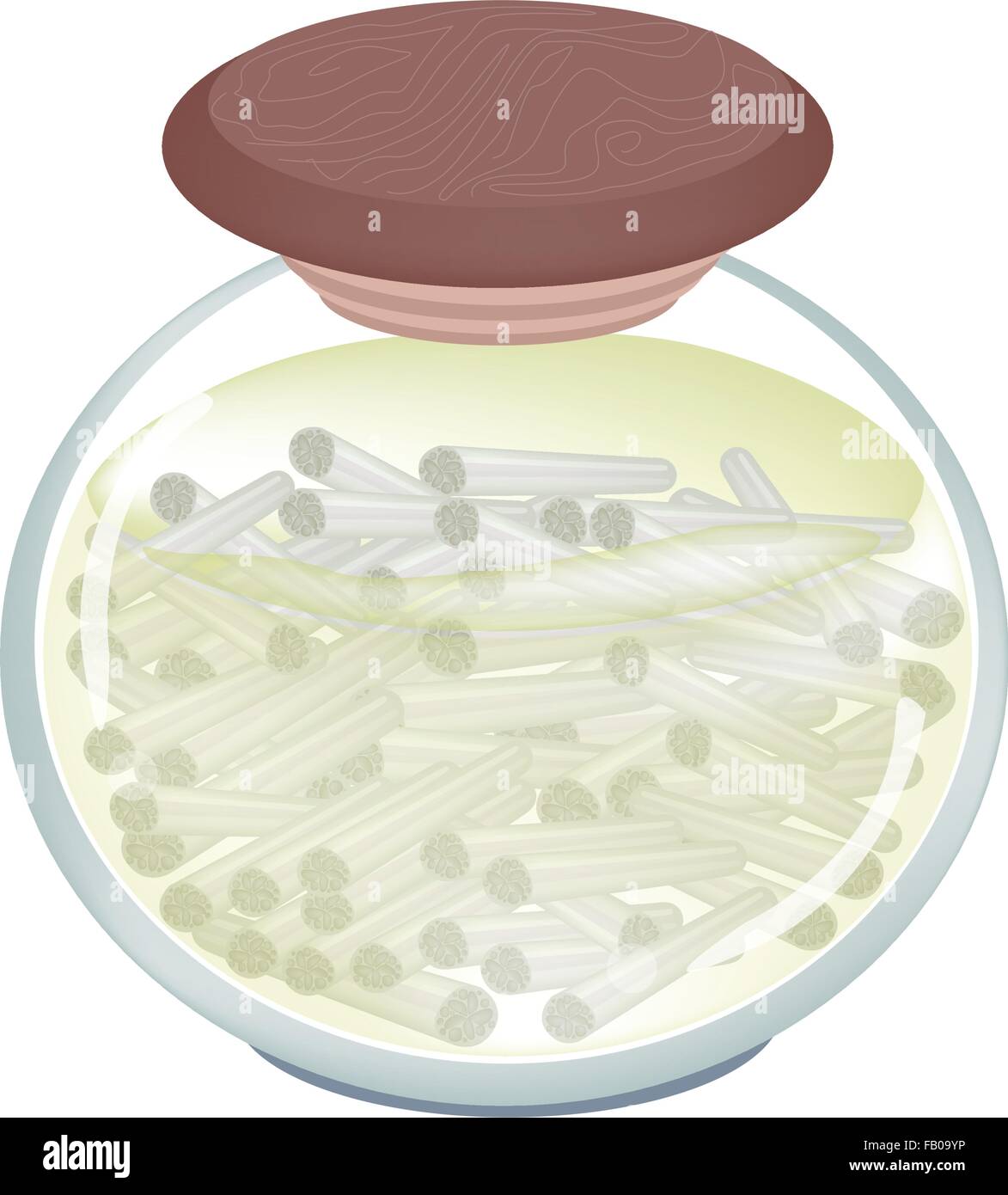 Vegetable, An Illustration of Pickled Water Lily Stem or Lotus Stem in ...