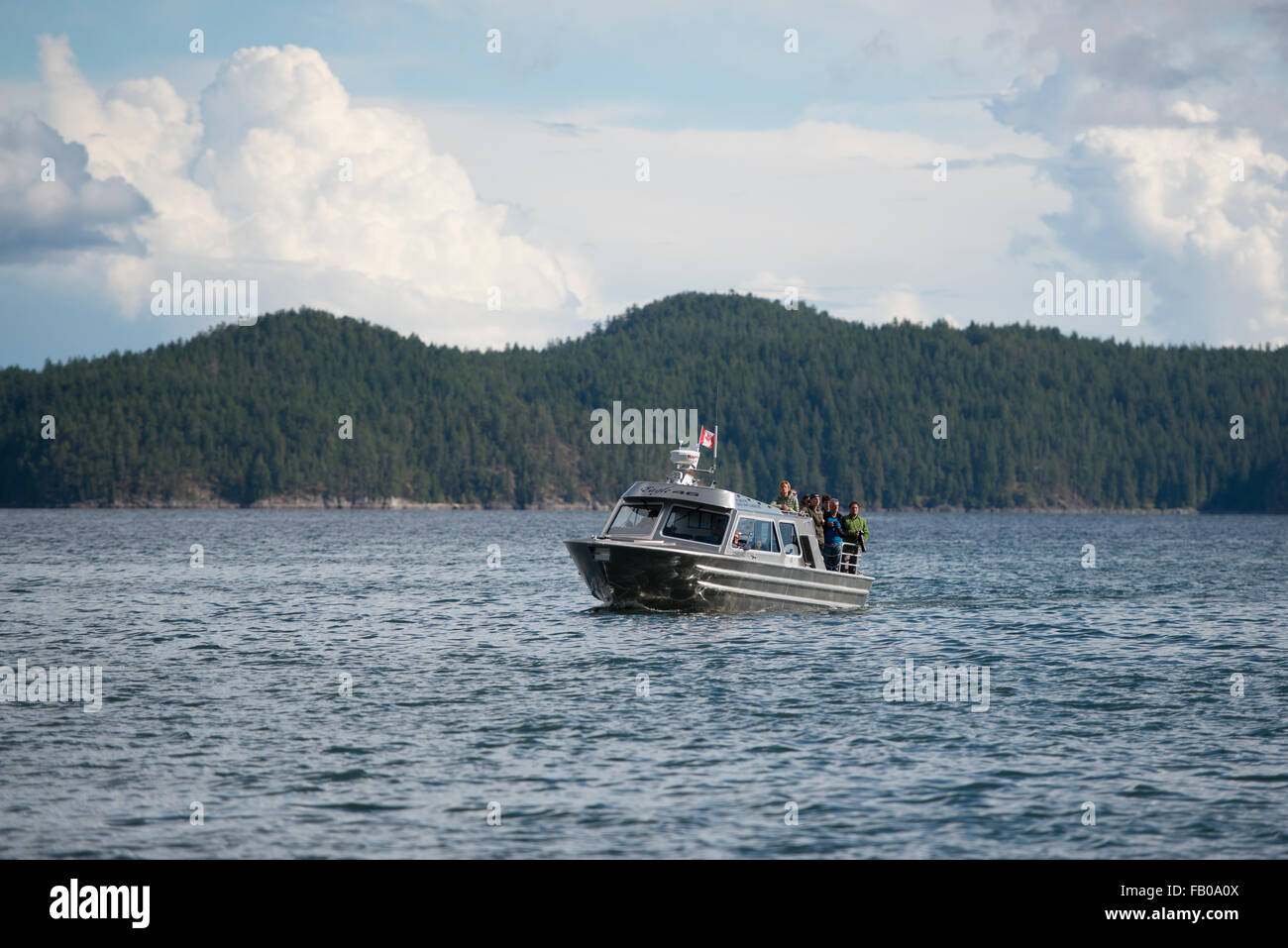 Whale watching, boat with tourists, Orford River, Vancouver Island ...