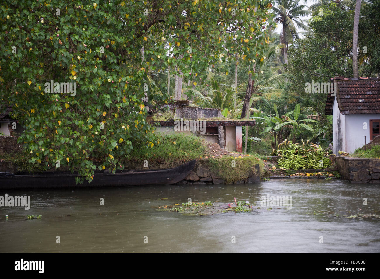 Scenery in Kottayam Stock Photo - Alamy