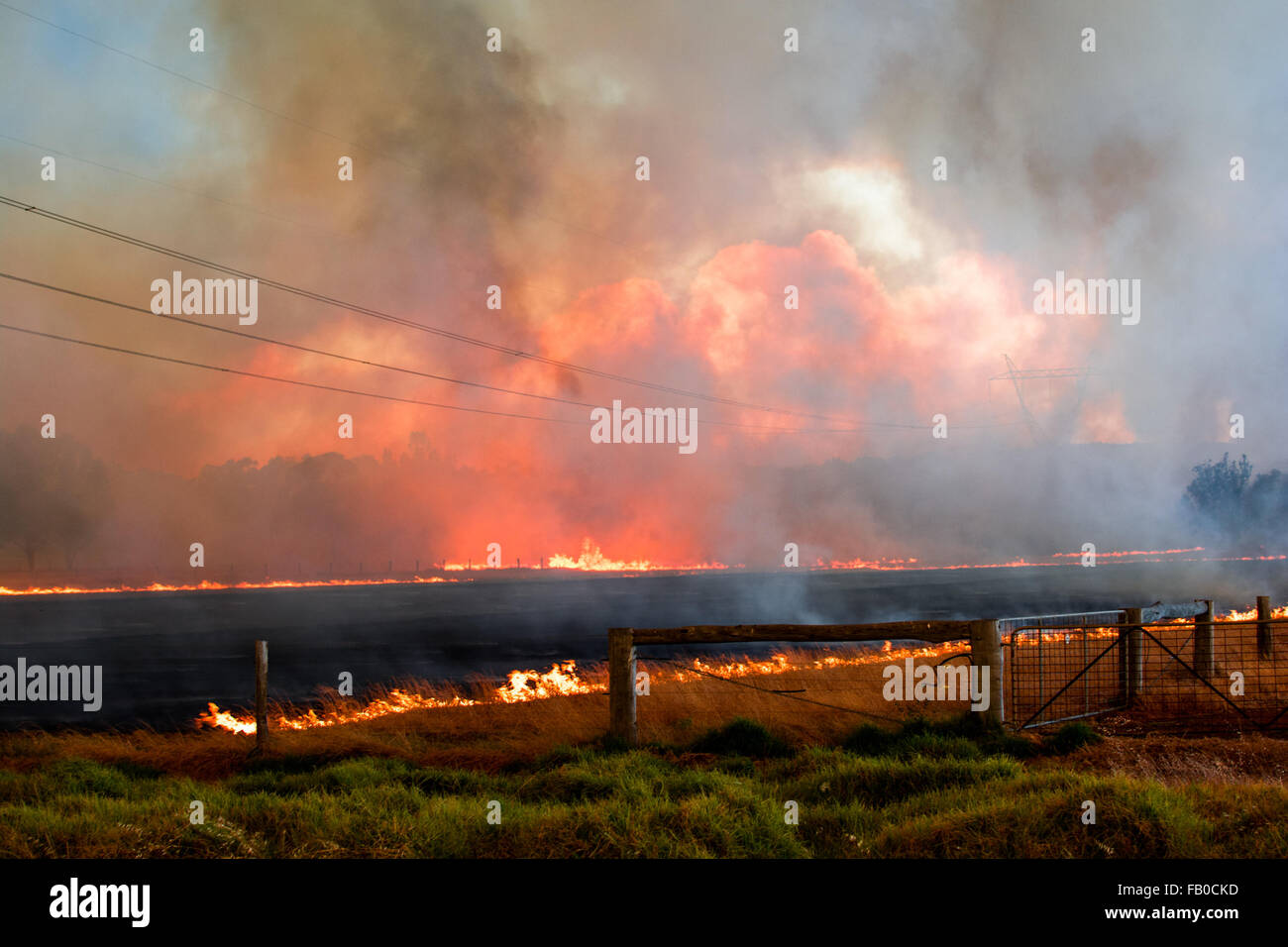 Waroona, Australia. 07th Jan, 2016. Waroona Cookernup bushfire on ...