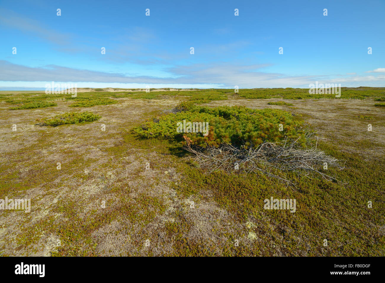 Nature and wildlife of the northern part of Sakhalin Island, Russia ...