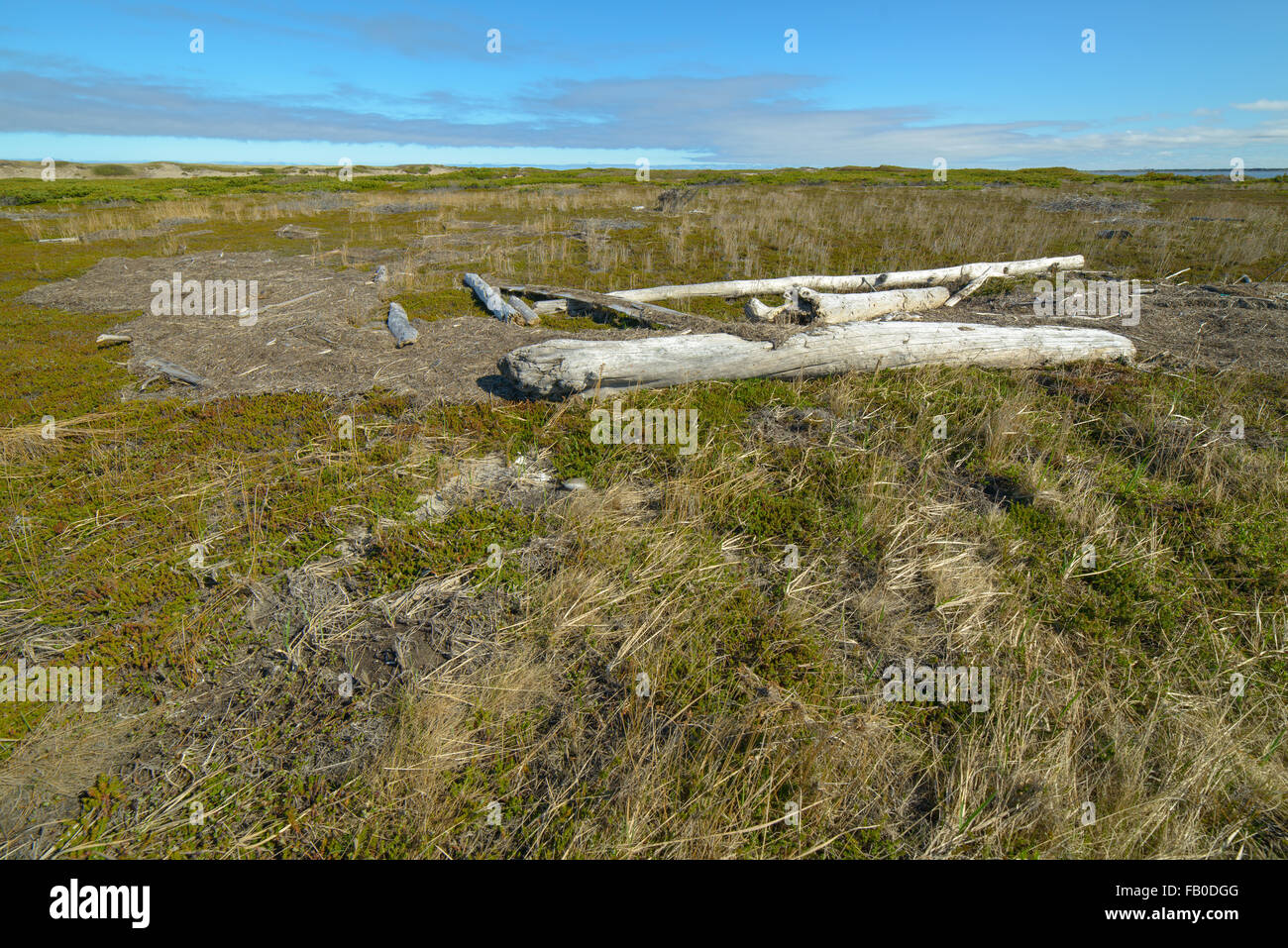 Nature and wildlife of the northern part of Sakhalin Island, Russia ...