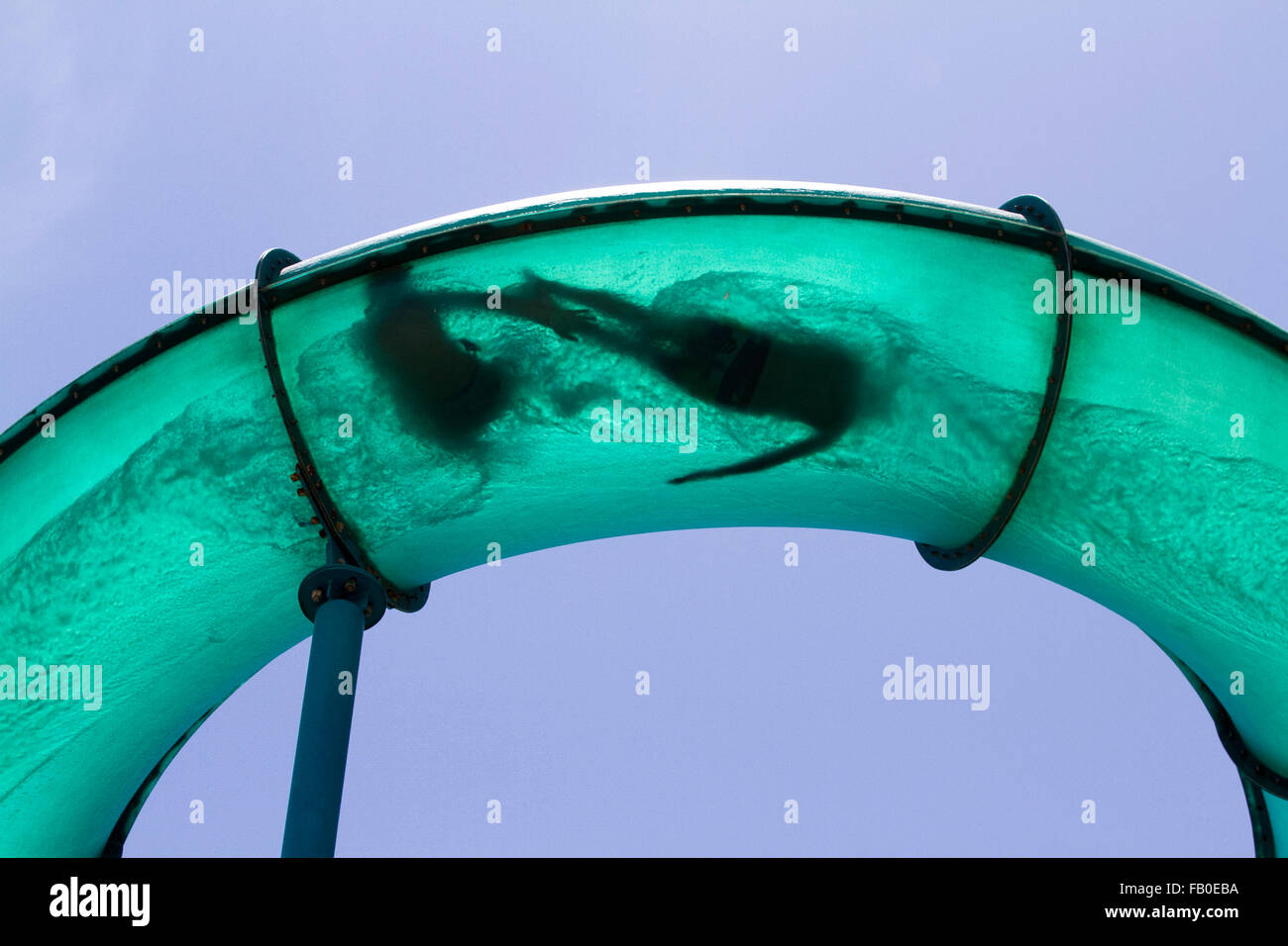 Various embryonic hi-res stock photography and images - Alamy