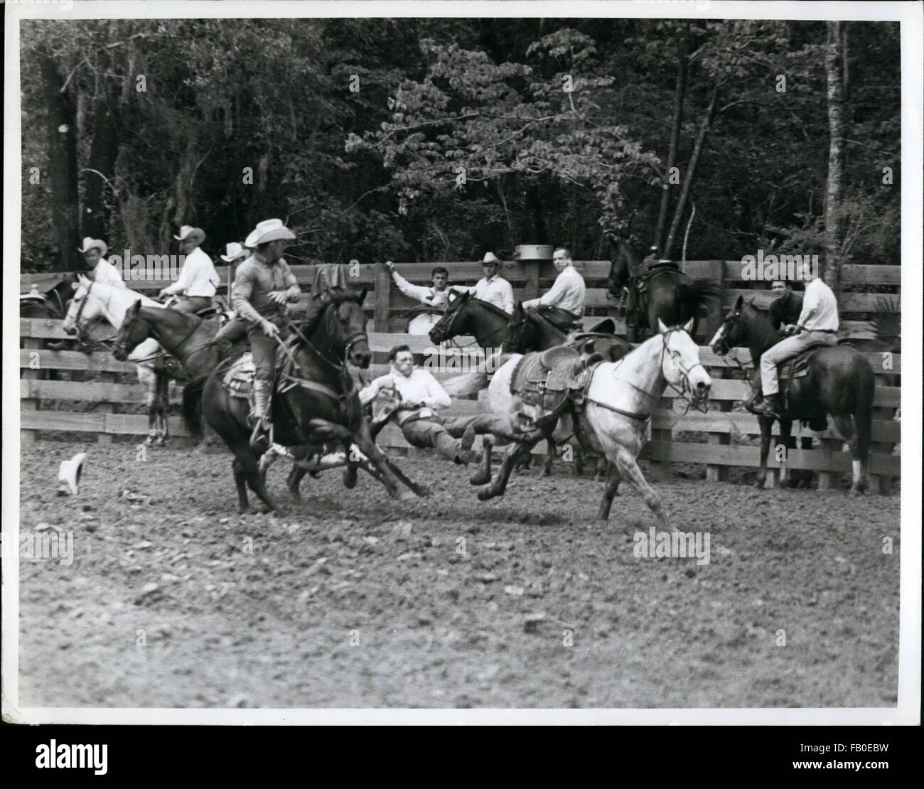 1972 - Champion riders perform twice daily at Rainbow Springs newly ...