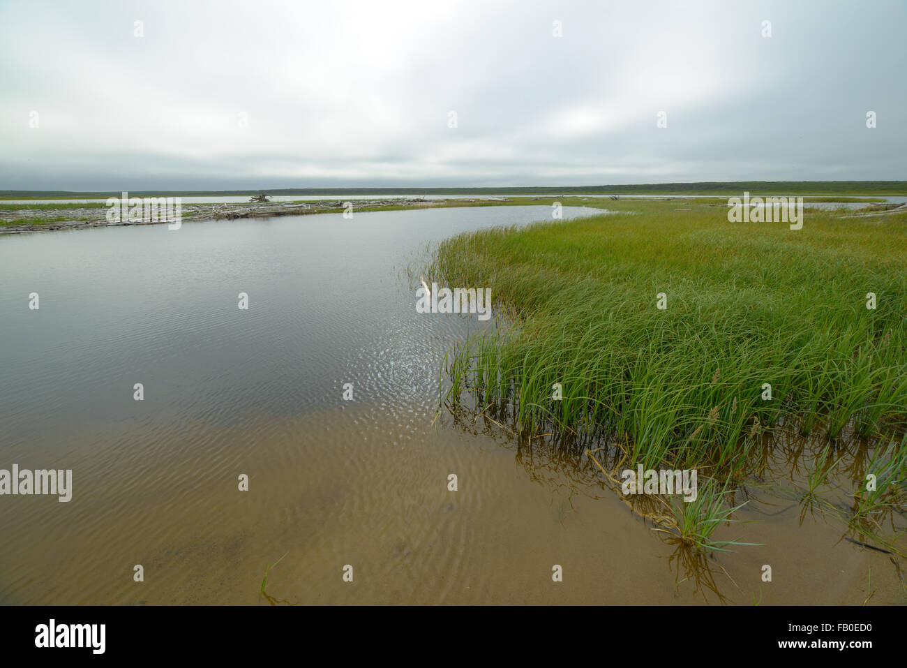Nature and wildlife of the northern part of Sakhalin Island, Russia ...