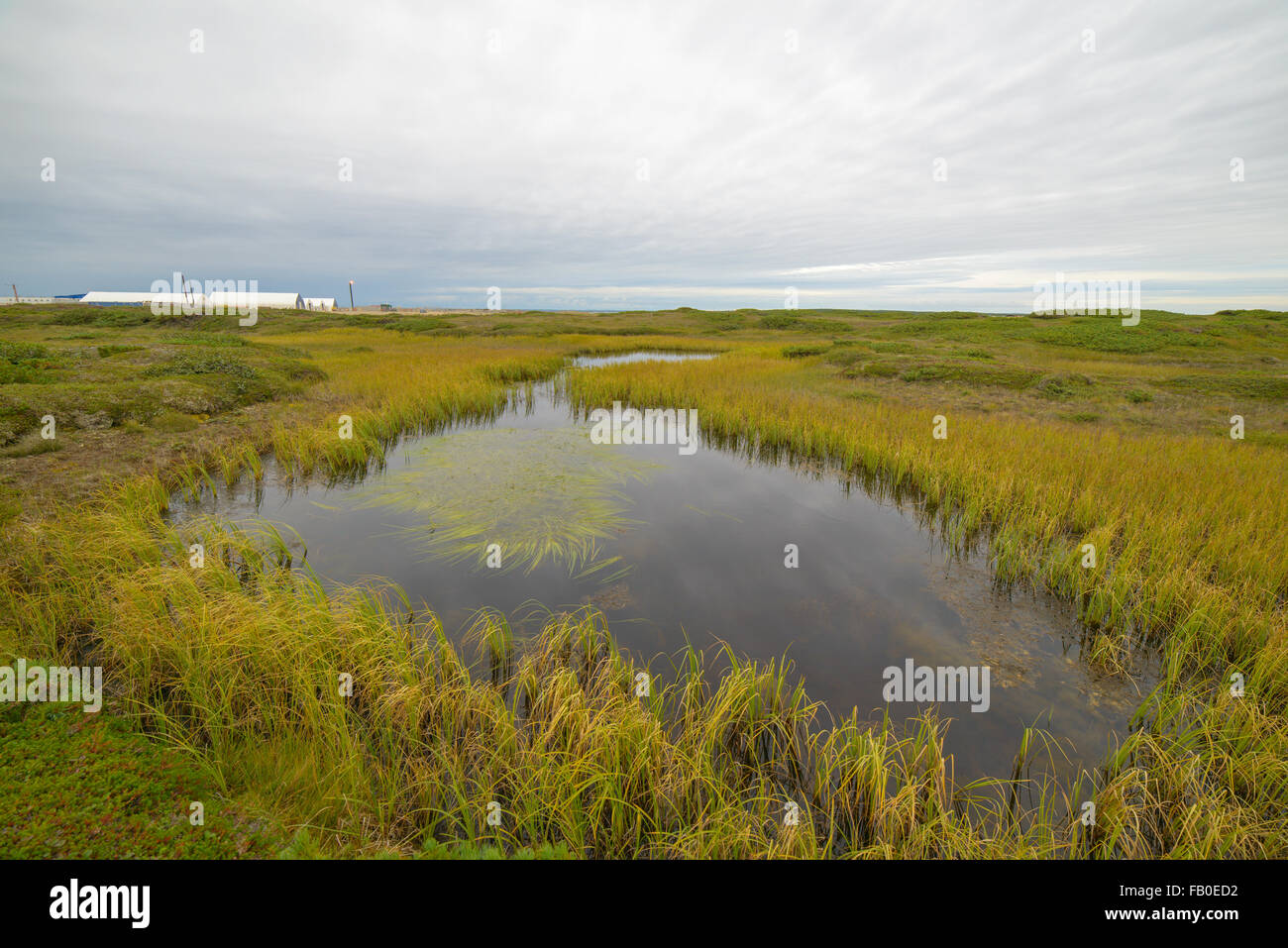 Nature and wildlife of the northern part of Sakhalin Island, Russia ...