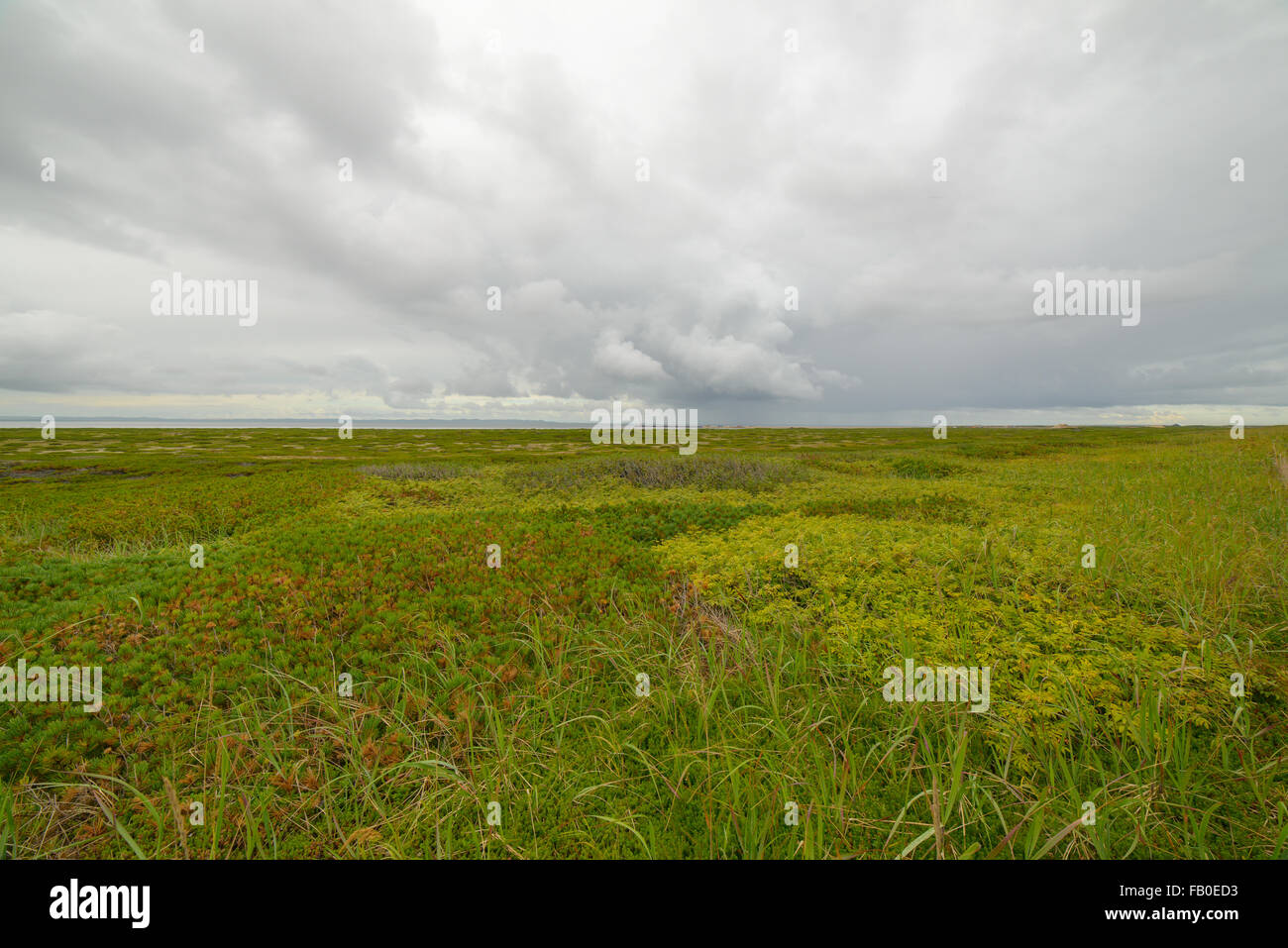 Nature and wildlife of the northern part of Sakhalin Island, Russia ...