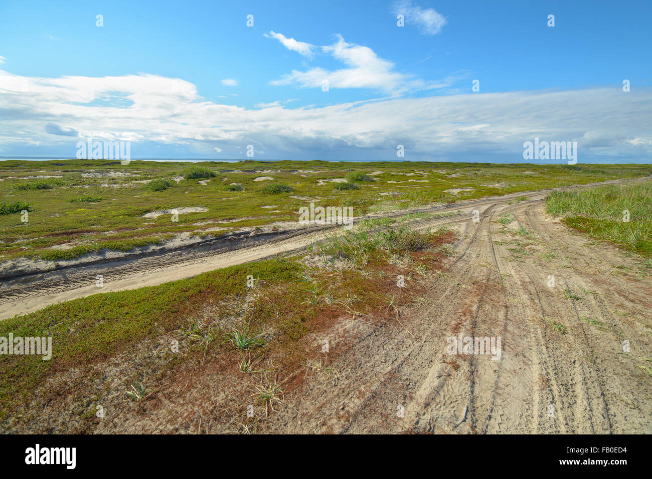 Nature and wildlife of the northern part of Sakhalin Island, Russia ...