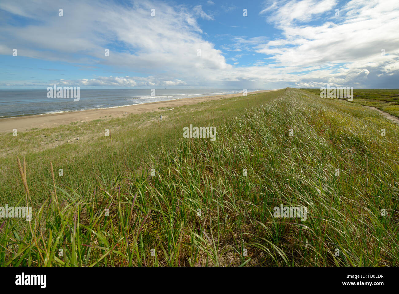 Nature and wildlife of the northern part of Sakhalin Island, Russia ...