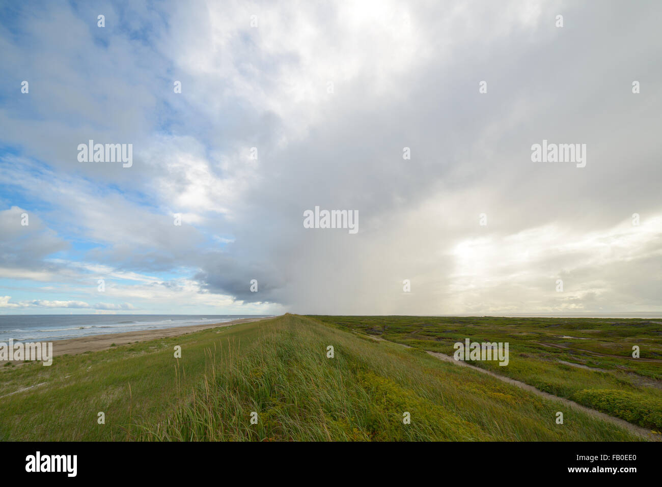 Nature and wildlife of the northern part of Sakhalin Island, Russia ...