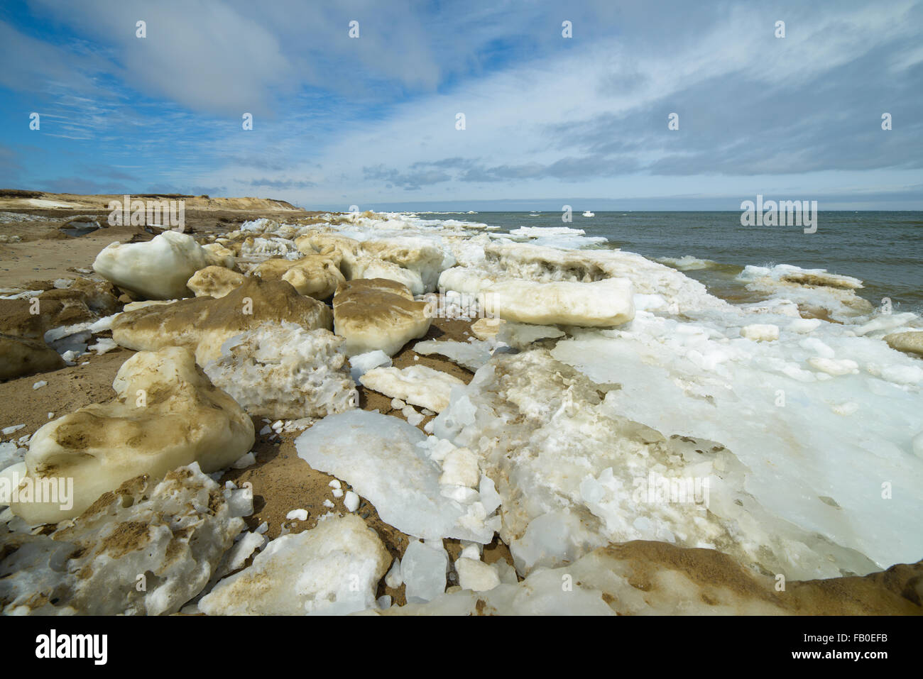 Nature and wildlife of the northern part of Sakhalin Island, Russia ...