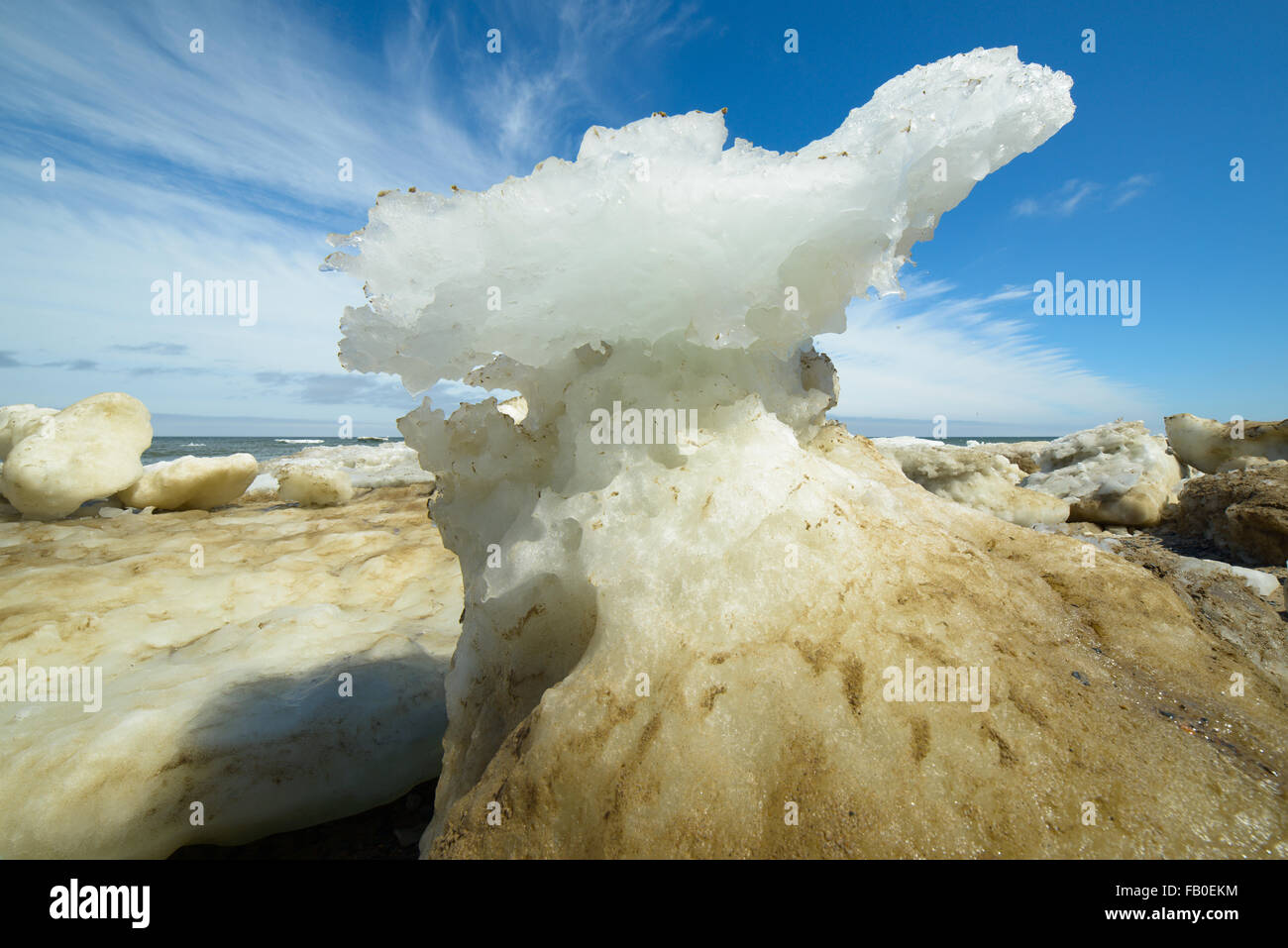Nature and wildlife of the northern part of Sakhalin Island, Russia ...
