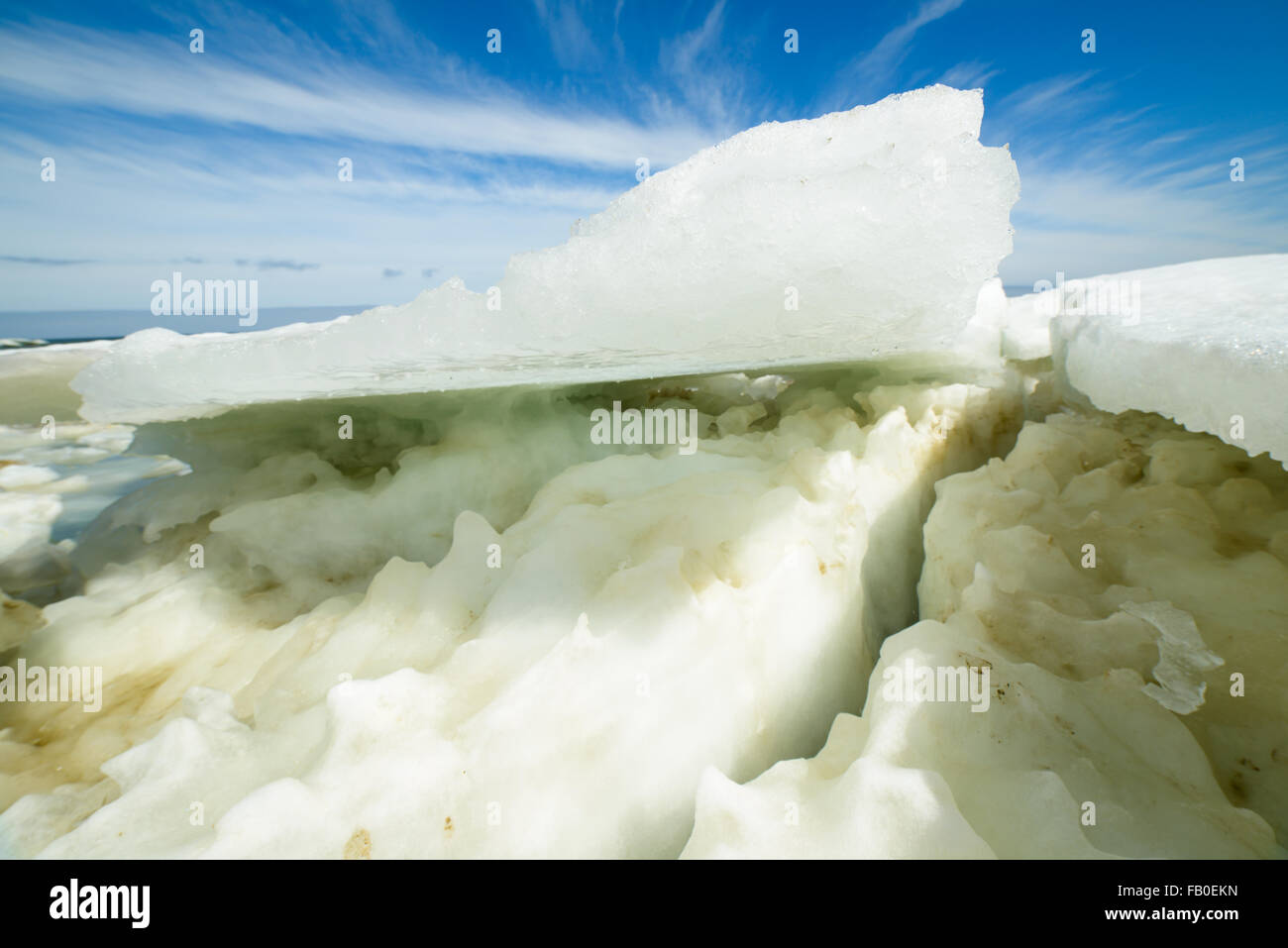 Nature and wildlife of the northern part of Sakhalin Island, Russia ...