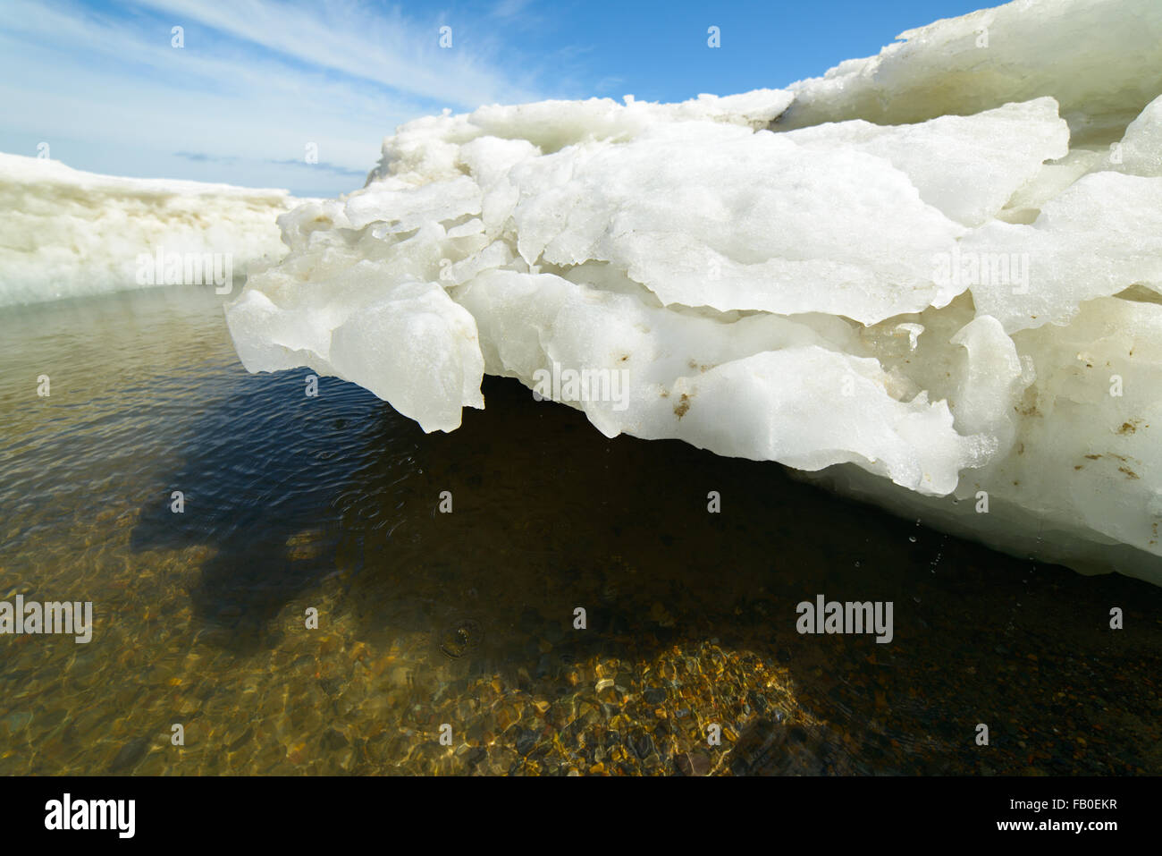 Nature and wildlife of the northern part of Sakhalin Island, Russia ...