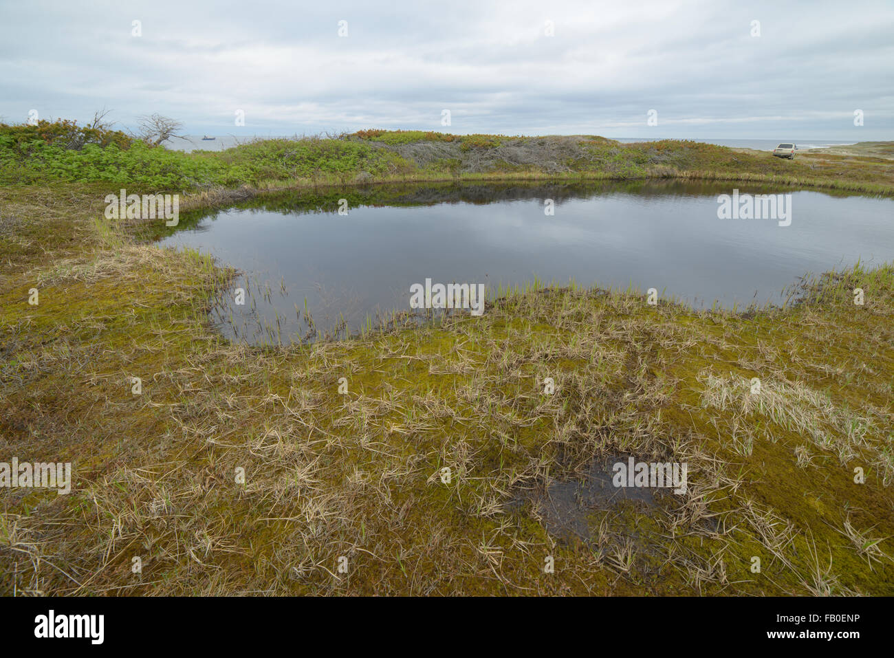 Nature and wildlife of the northern part of Sakhalin Island, Russia ...