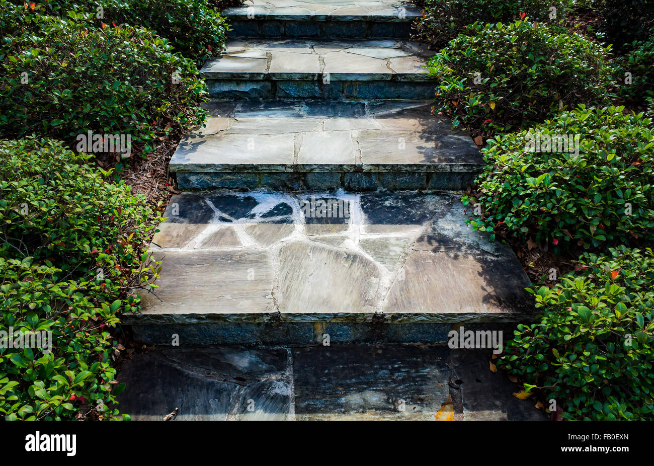Steps of rock Stock Photo - Alamy