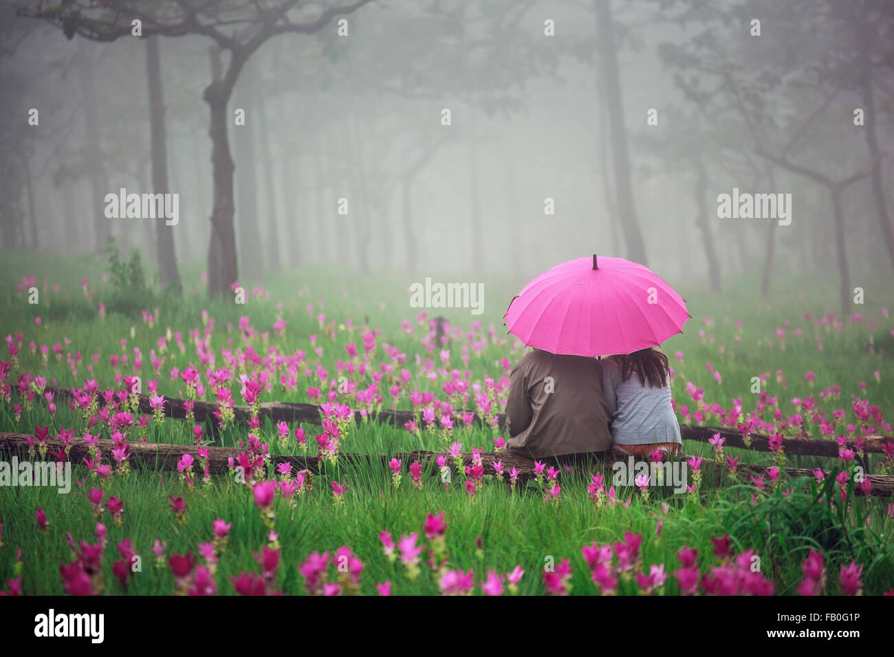 Romantic style garden hi-res stock photography and images - Alamy